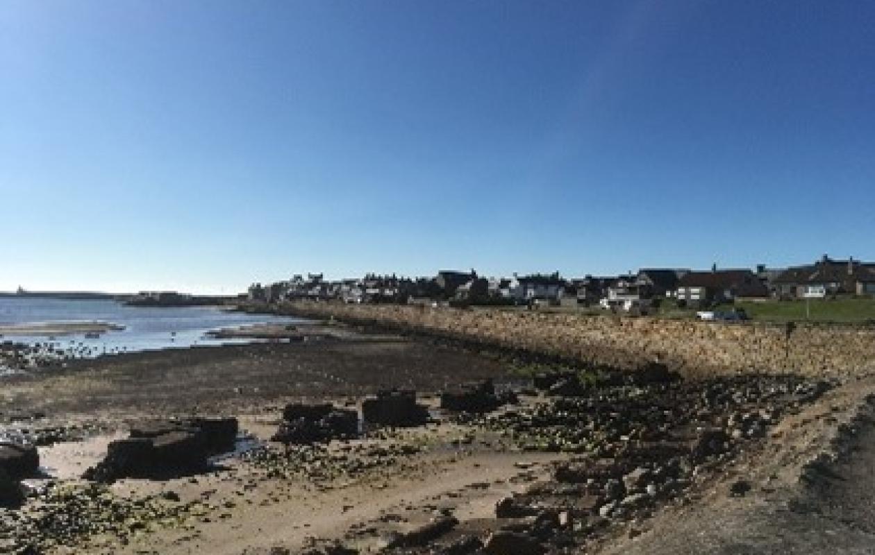 Community Transport as a form of Community Wealth Building? | Scottish ...